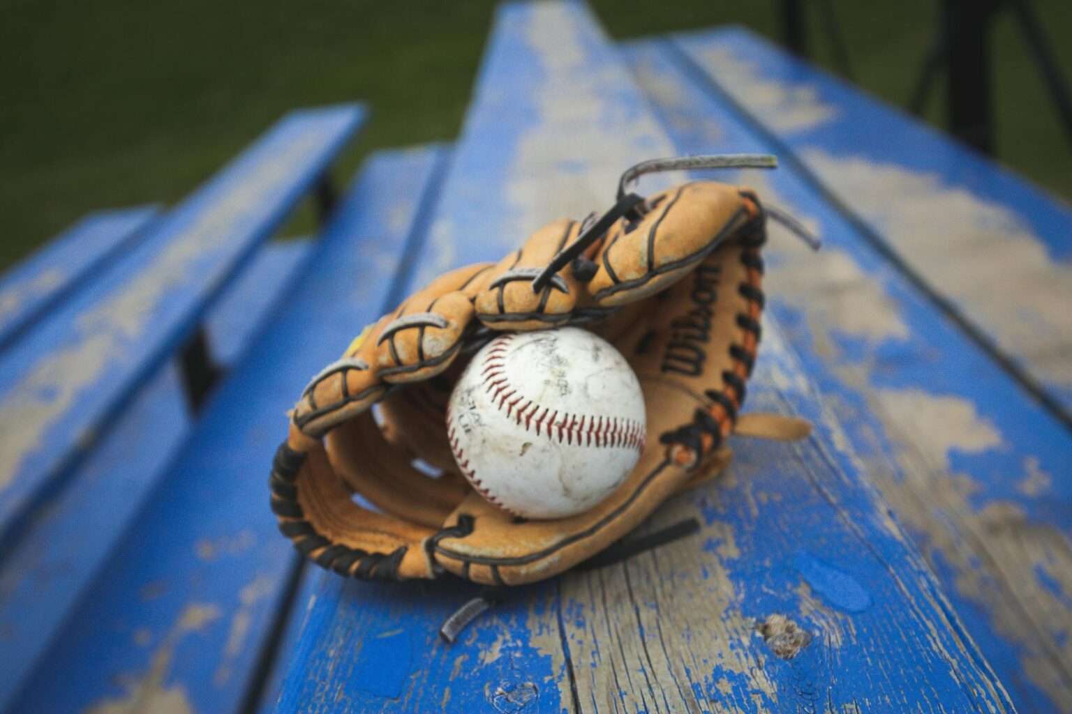 Top Baseball Gifts for the 2025 Season: Must-Have Gear and Collectibles
